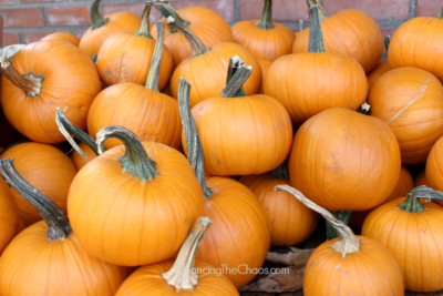 Orange County Pumpkin Patches & Fall Family Fun - Balancing The Chaos