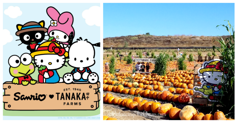Hello Kitty Arrives at Tanaka Farms | @TanakaFarms #HelloKitty # ...