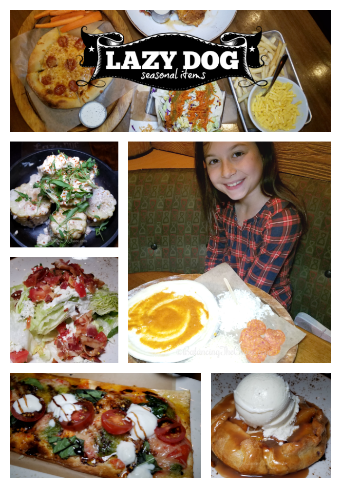 Spring Has Arrived at Lazy Dog Restaurant And Bar - Balancing The Chaos