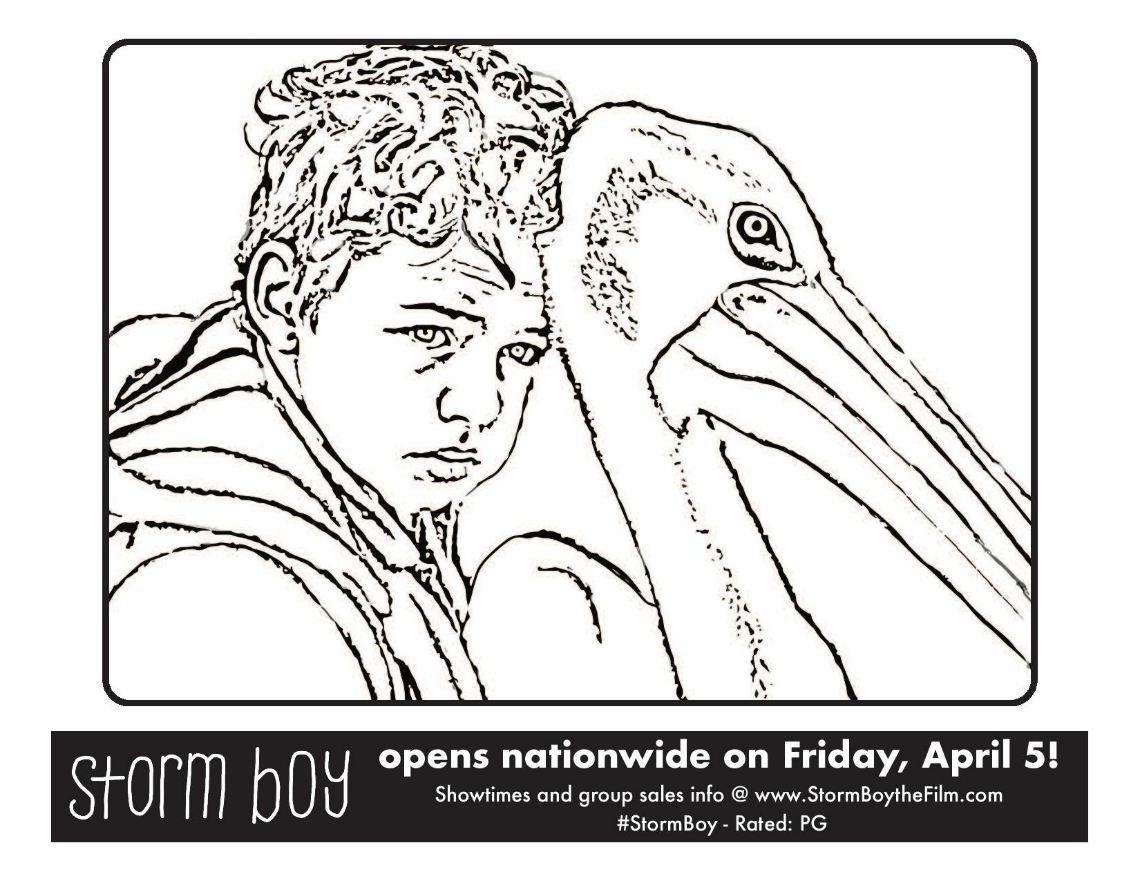 A Boy and His Beloved Pelicans - Storm Boy the Movie - Balancing The Chaos