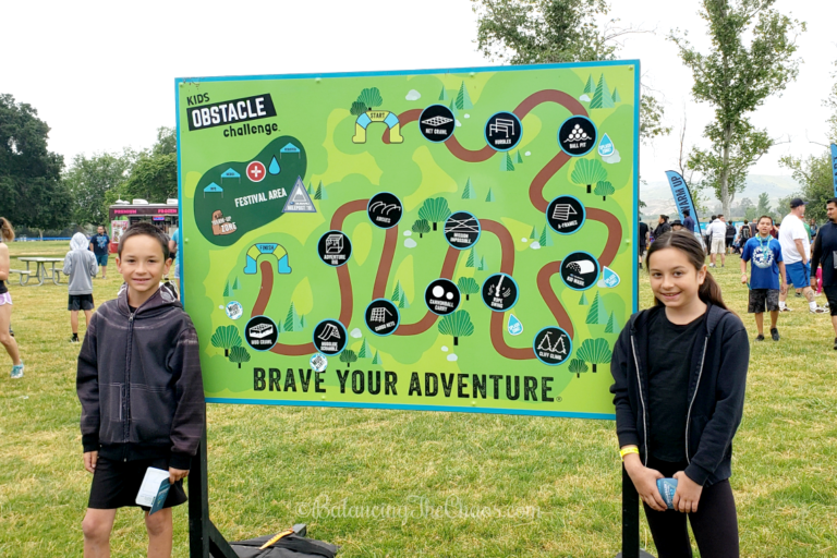 Awesome Family Fun: The Kids Obstacle Challenge - Balancing The Chaos